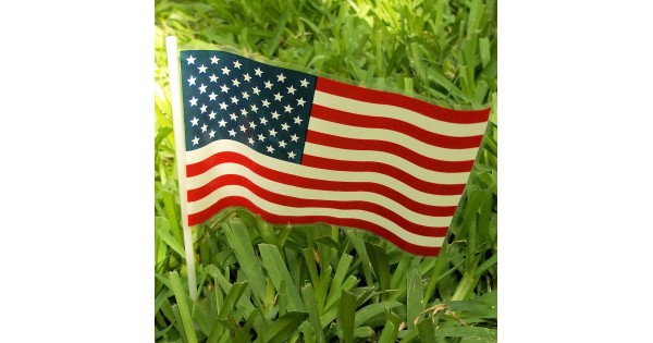 Small Plastic American Flag at RTD Gifts